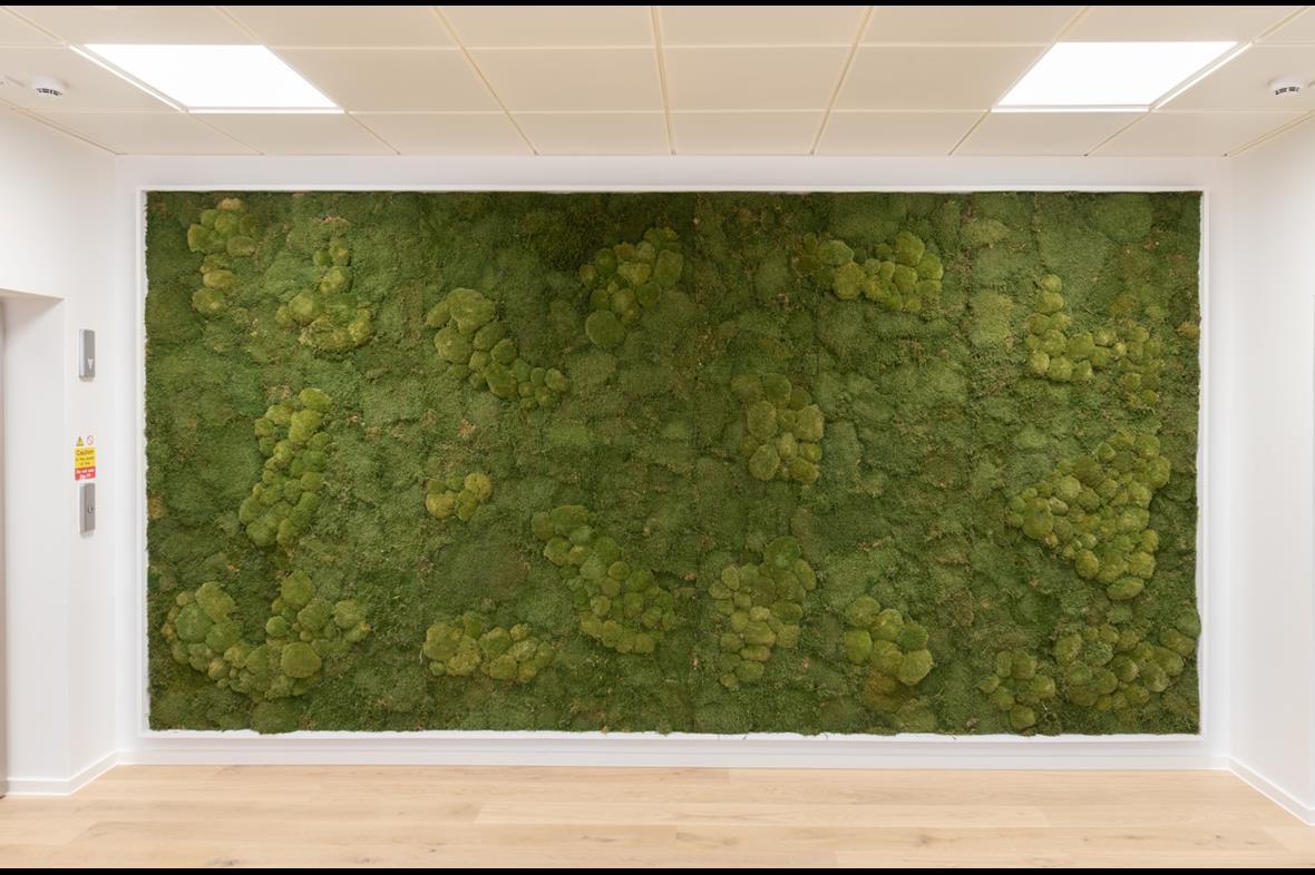 Studio Pringle completes renovation of FCA offices | News | Building Design